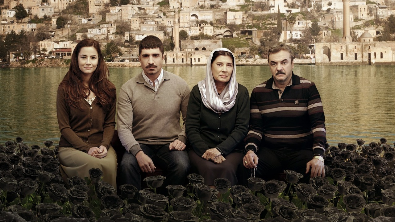 TV Time - Karagül (TVShow Time)