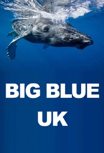 TV Time - Big Blue UK (TVShow Time)